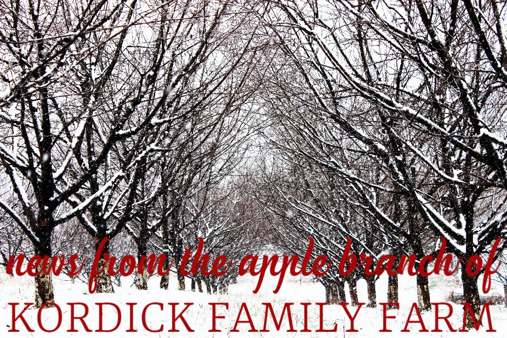home - Kordick Family Farm